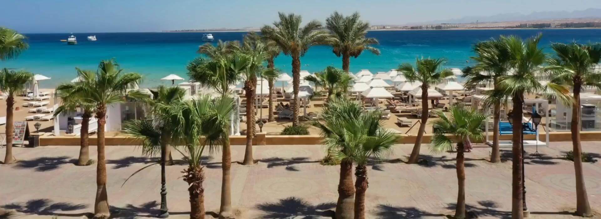 Turistična agencija Palma